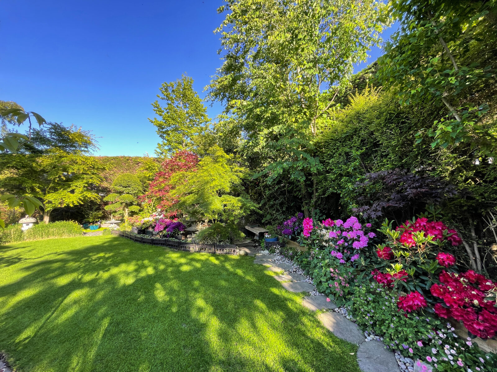 Spring Gardening in Calgary | Trico Homes